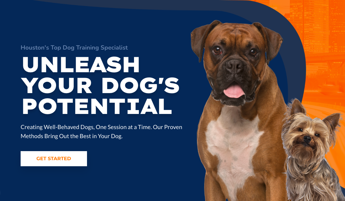 Home - Good Vibes Dog Training